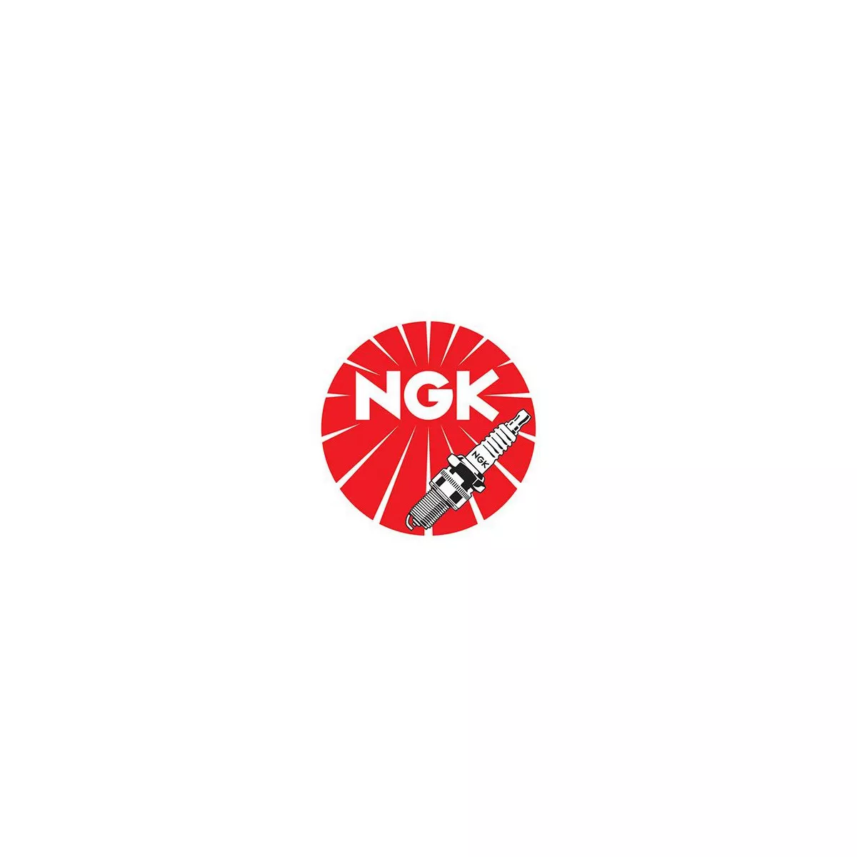 Ngk - Capuchon Antiparasite - LD05FP - 8070 - Tech2Roo