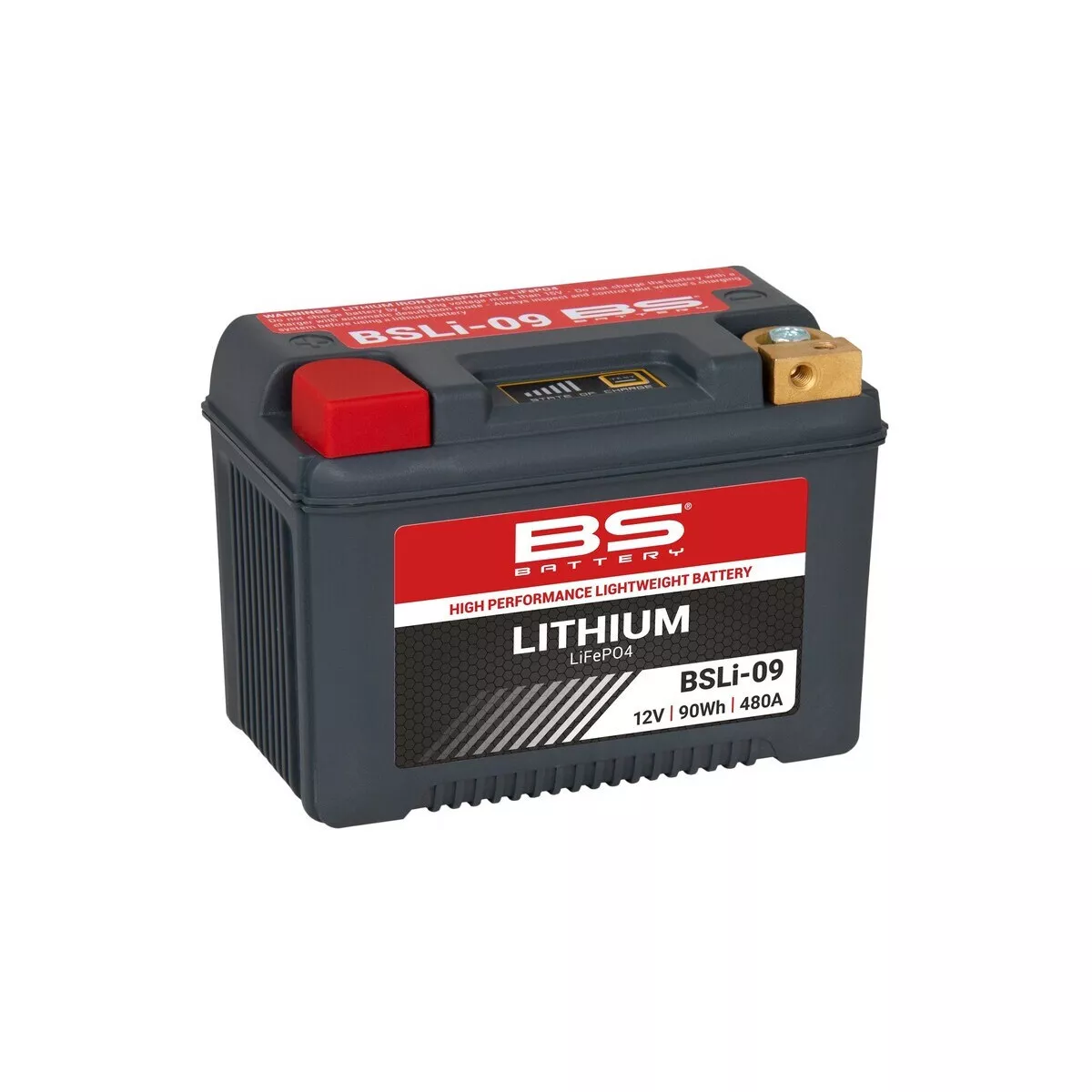 Batterie de marque BS BATTERY - Tech2Roo